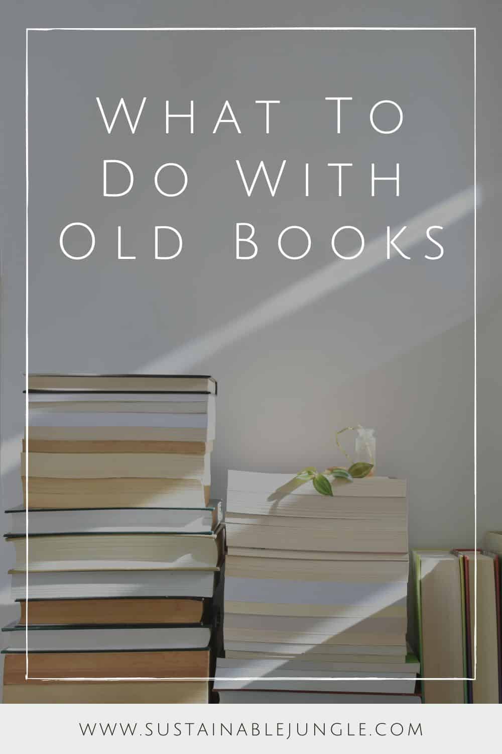 如何处理旧书:如何可持续地对待你的书架 - b0b体育投注